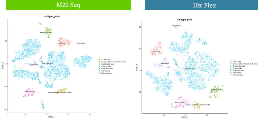 M20 Seq与10x Flex石蜡包埋样本实测数据对比 - 跃真生物